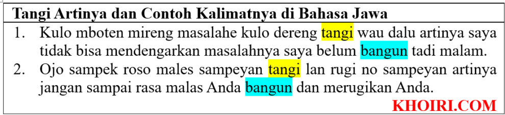 Tangi Artinya dan Contoh Kalimatnya ⋆ Khoiri.com